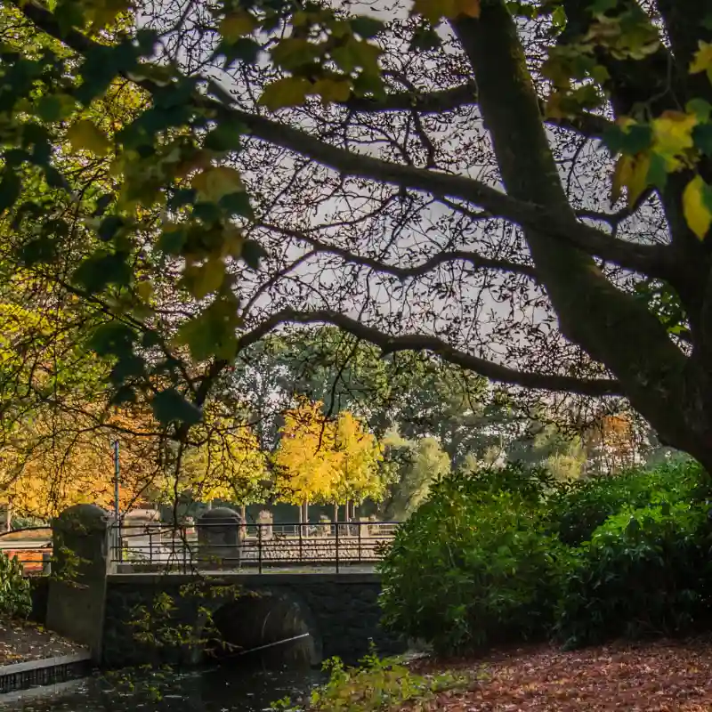 Welcome to Waldron - Waldron Arkansas